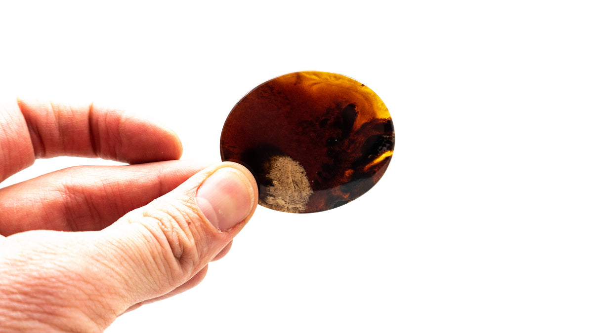 Amber Disc (dark) – Healing mountain crystals