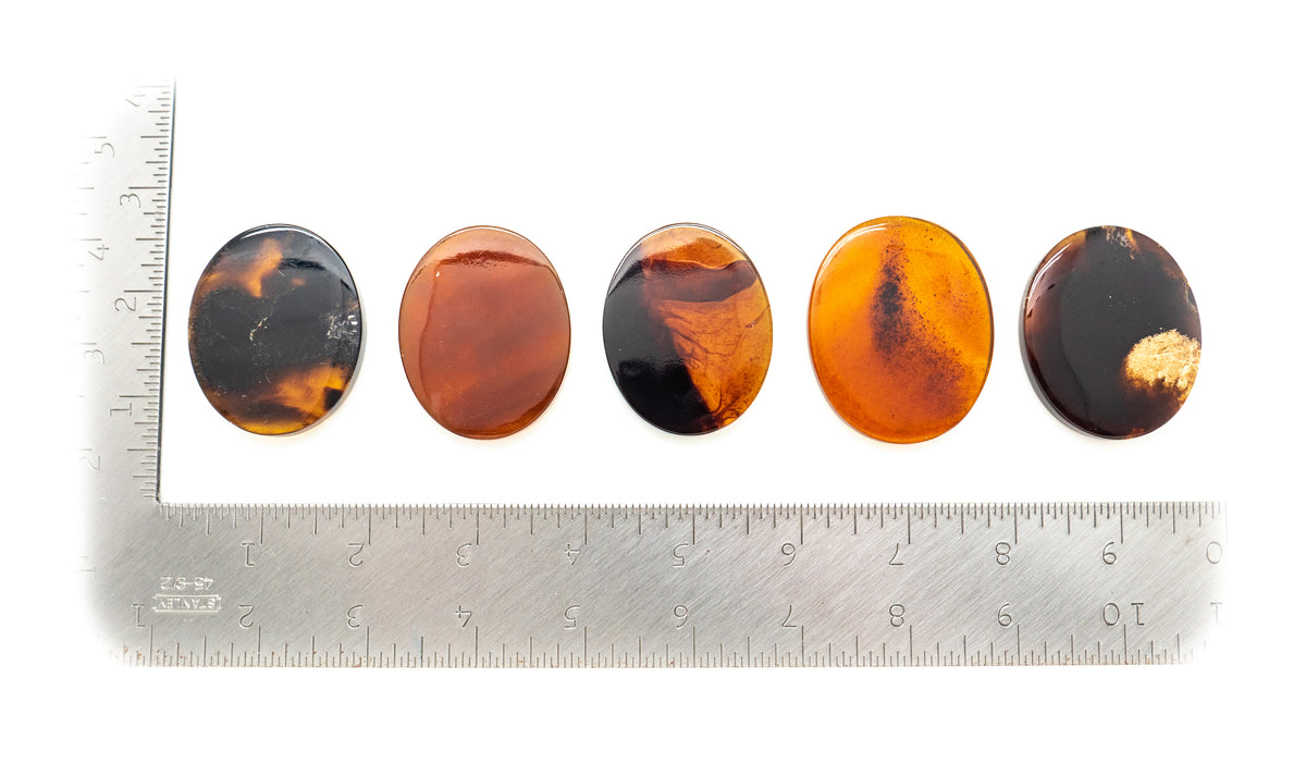 Amber Disc (dark) – Healing mountain crystals